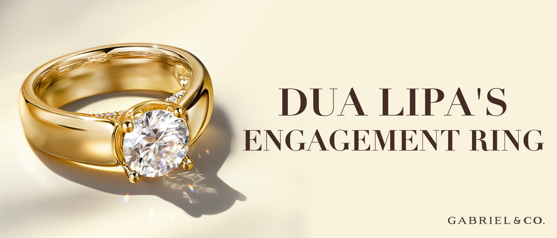 Dua Lipa Engagement Ring Sparks Buzz After New Selfie